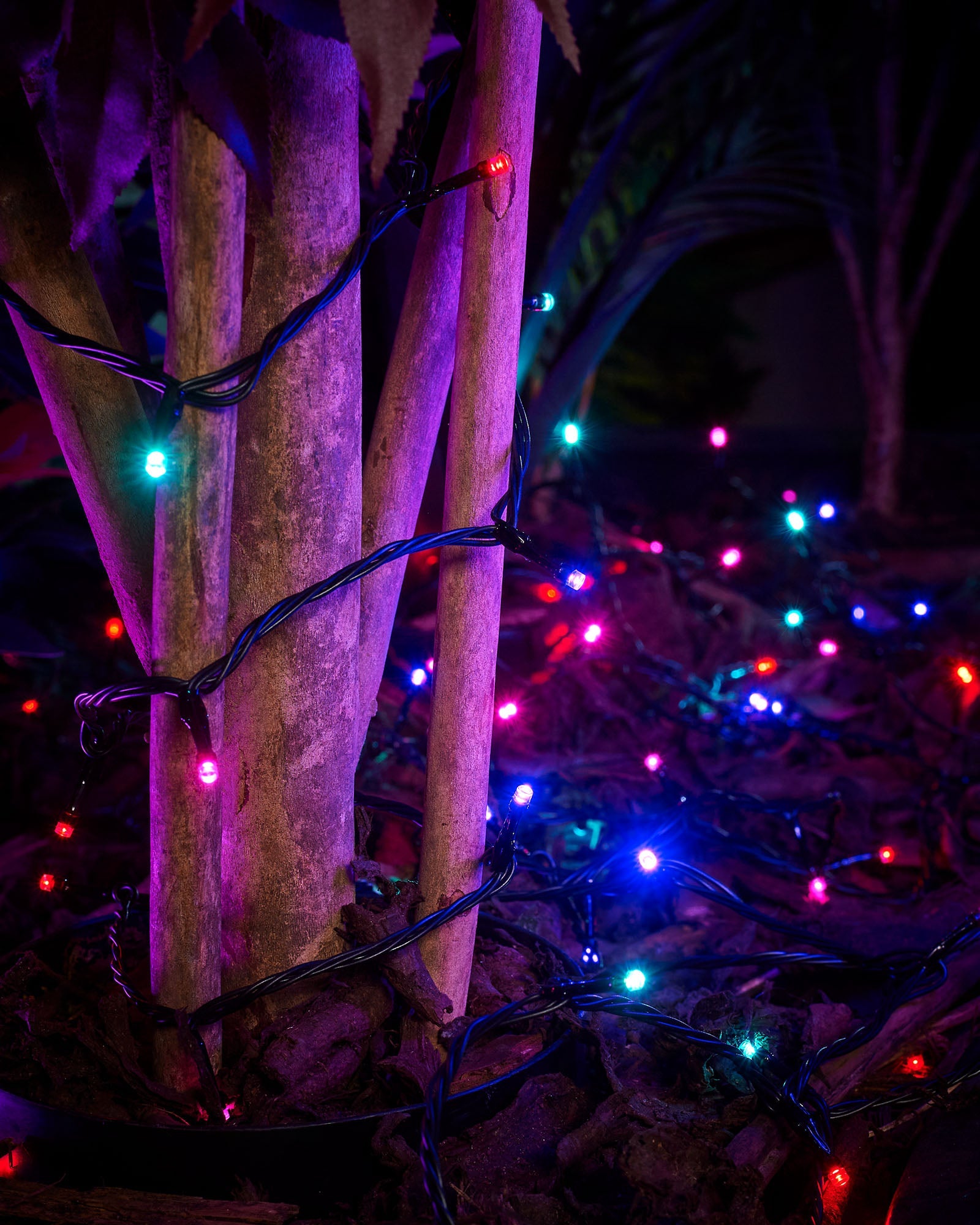 Home Series Connectable String Lights, Aurora – We R Christmas