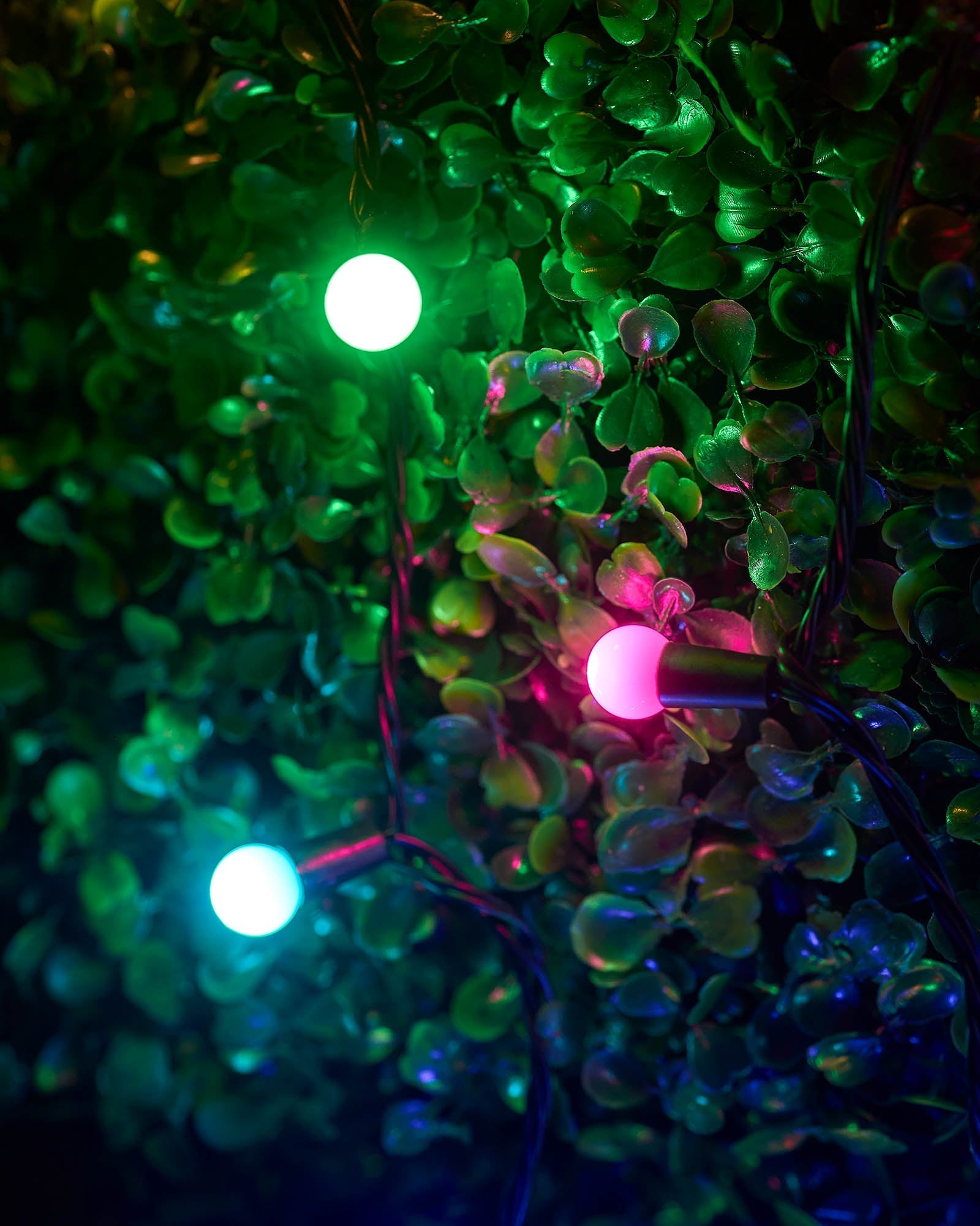 Home Series Connectable Berry Lights, Pastel Colour – We R Christmas